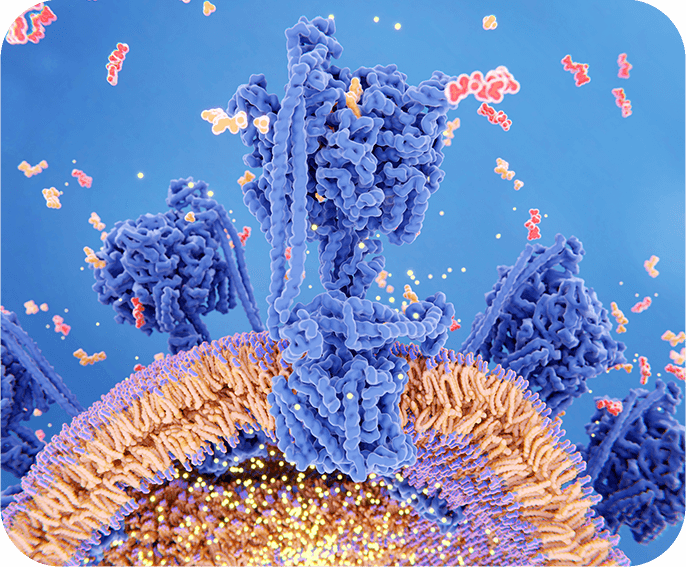 Heal on a cellular level – stimulate ATP production | Laser Noco